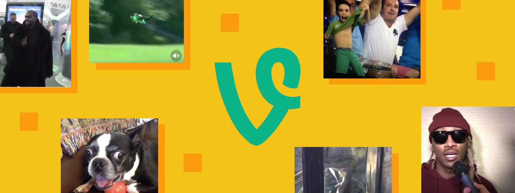 Can Vine Come Back at Olga Patrick blog