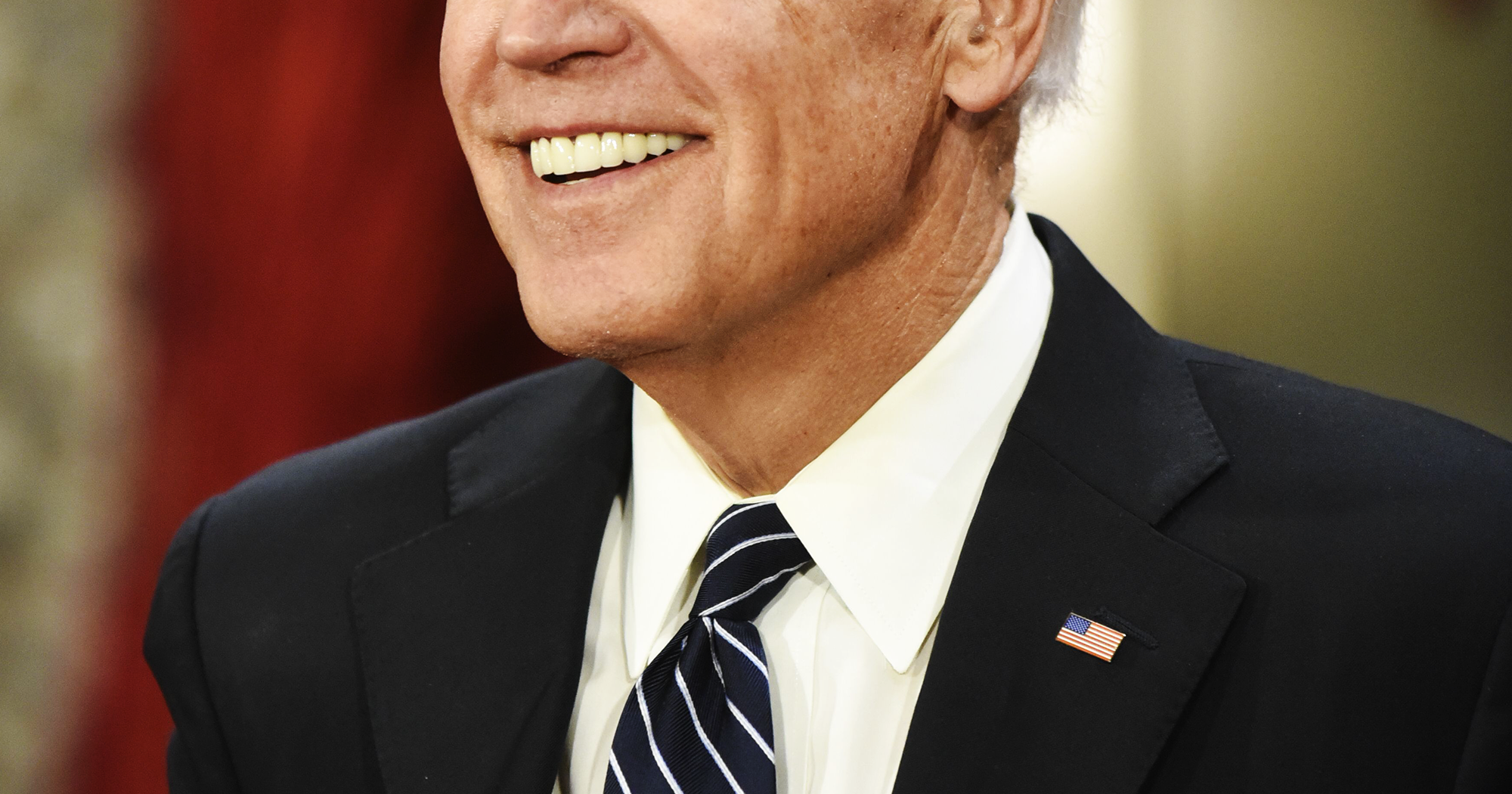 Joe Biden Puppy Namesake Cute Photos Twitter Reactions