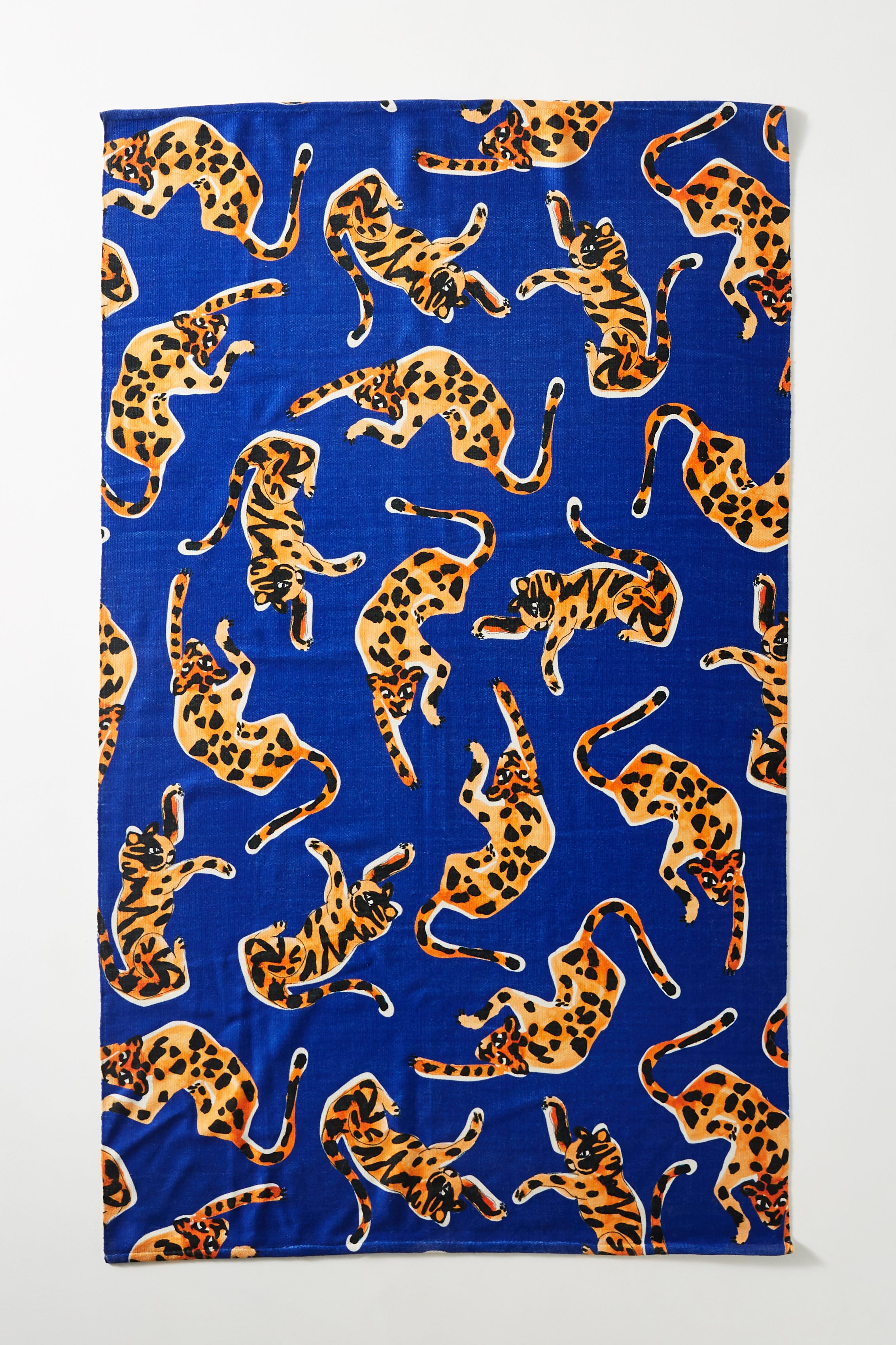 Anthropologie + Colloquial Indoor/Outdoor Rug (3×5)