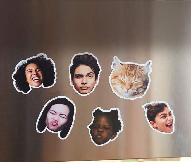 Sticker Mule + 2” x 2” Custom Magnets (10)