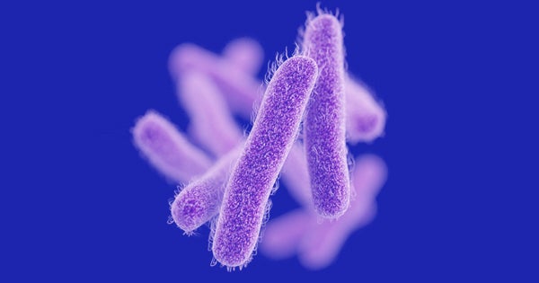 Drug Antibiotic Resistant Shigella Outbreak CDC Warning