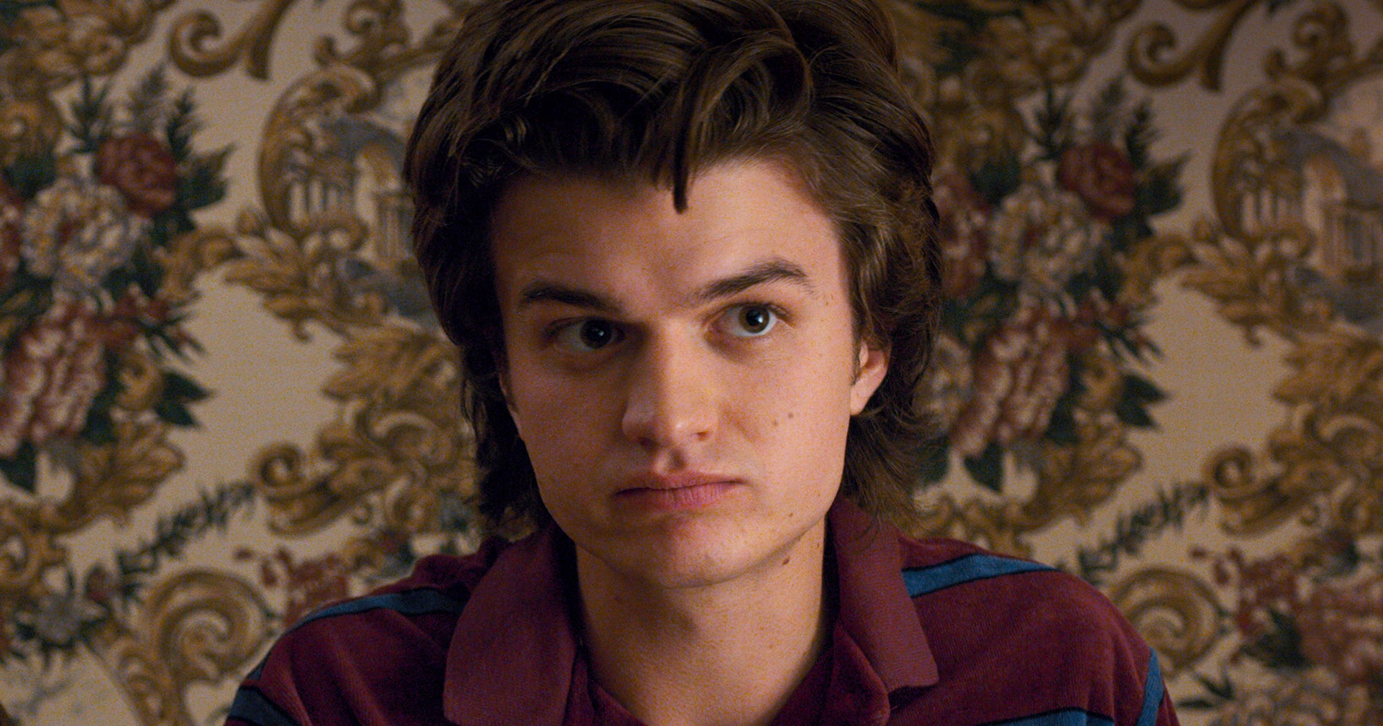 Stranger Things Baby Seal Named After Steve Harrington