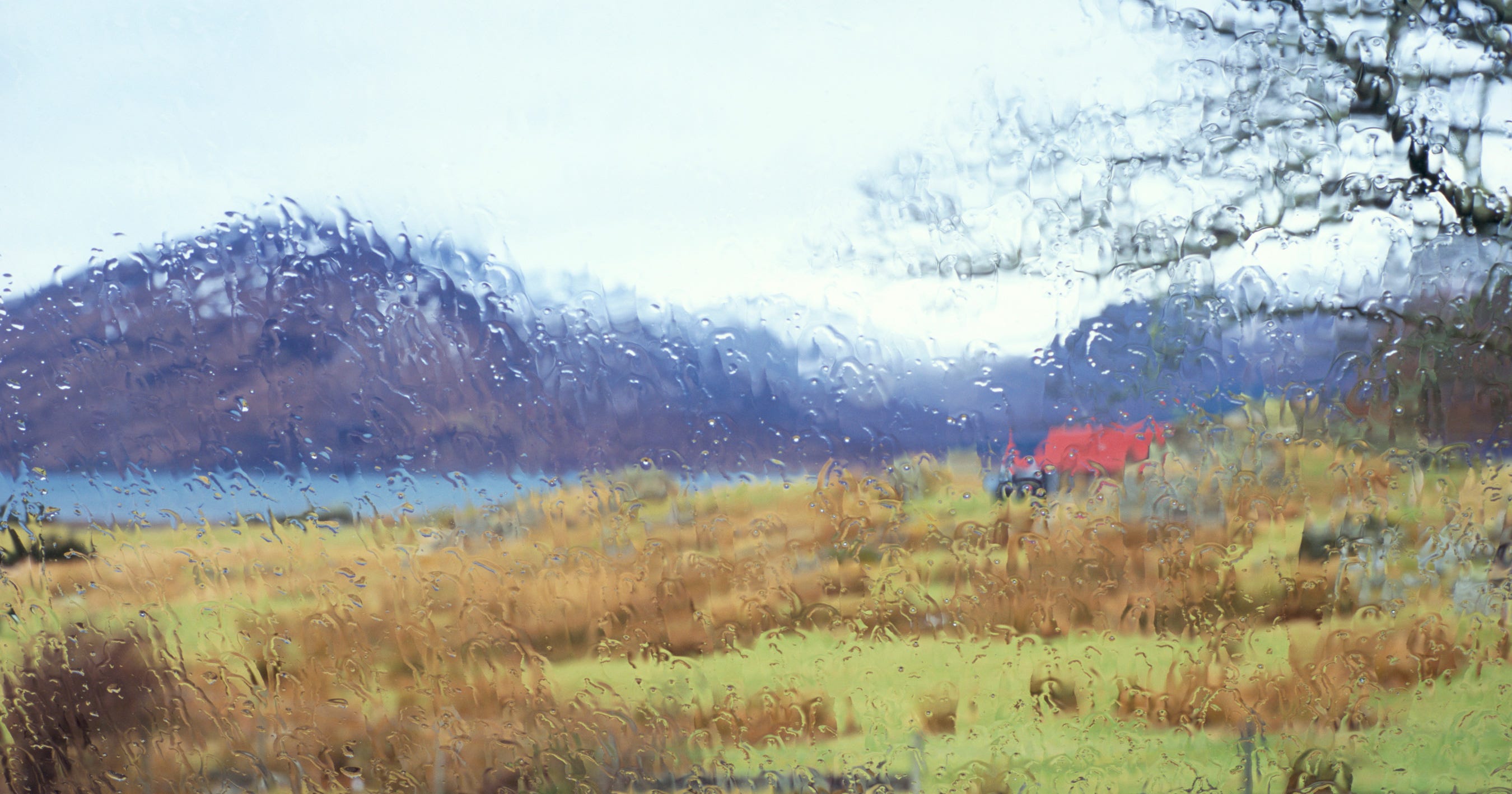 Why I Love Rainy Holidays