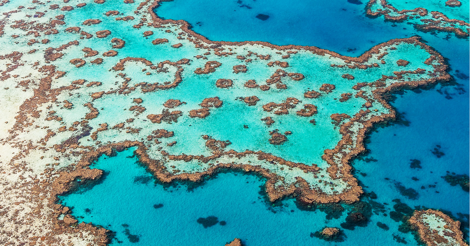Great Barrier Reef Instagram Pictures Australia Photos