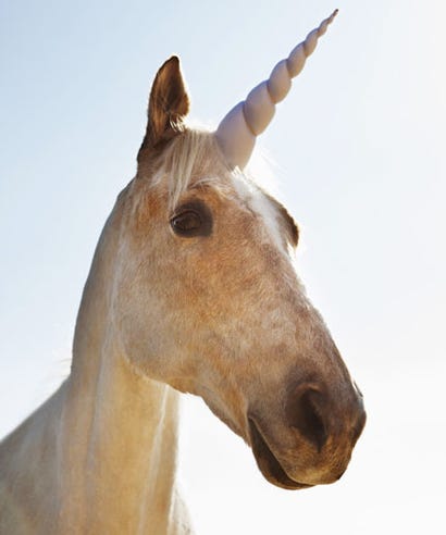 Siberian Unicorn Fossil 29000 Years Ago