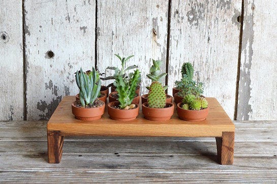 Peg & Awl + Egg Tray