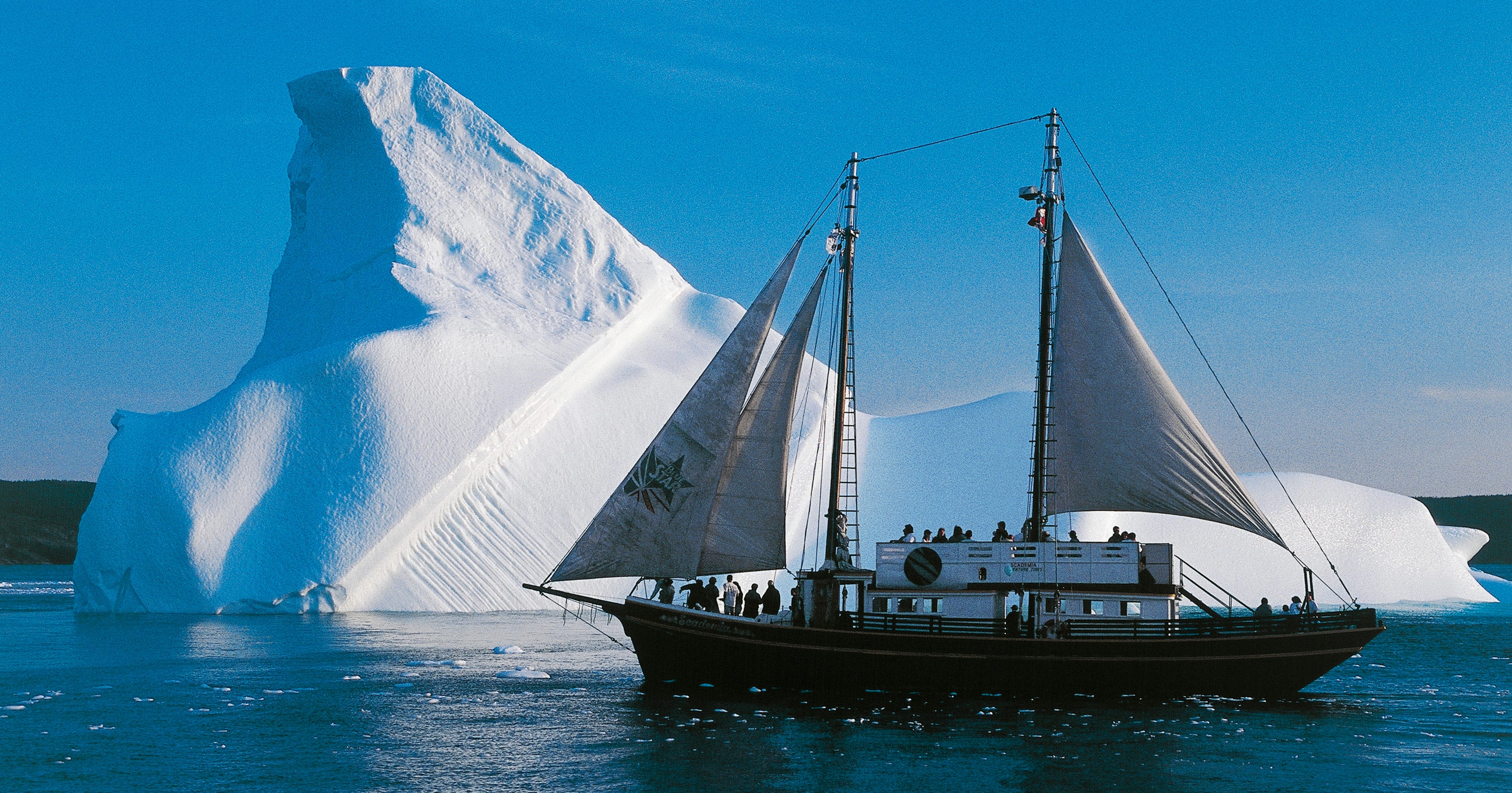 Ferryland Canada Huge Iceberg Tourism
