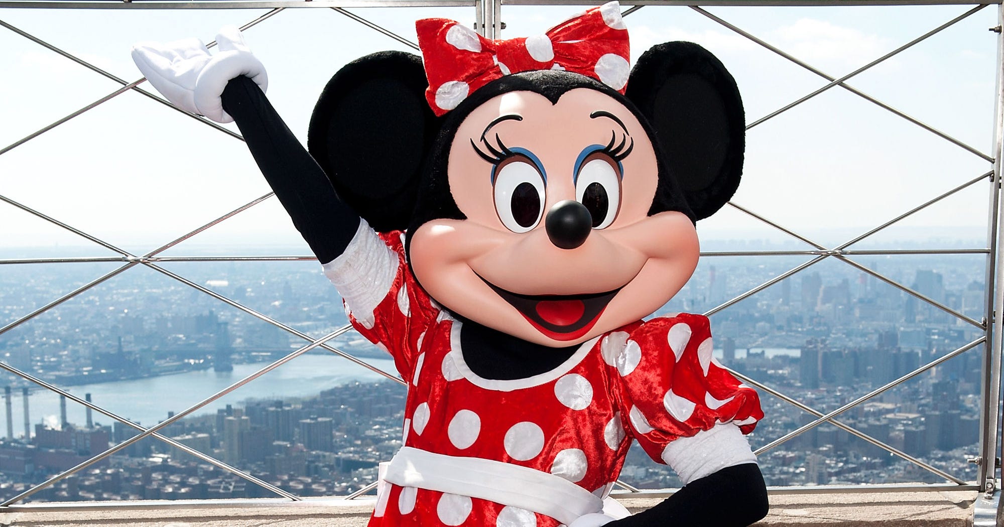 Disney Minnie Mouse Polka Dots Red Carpet Gray Malin