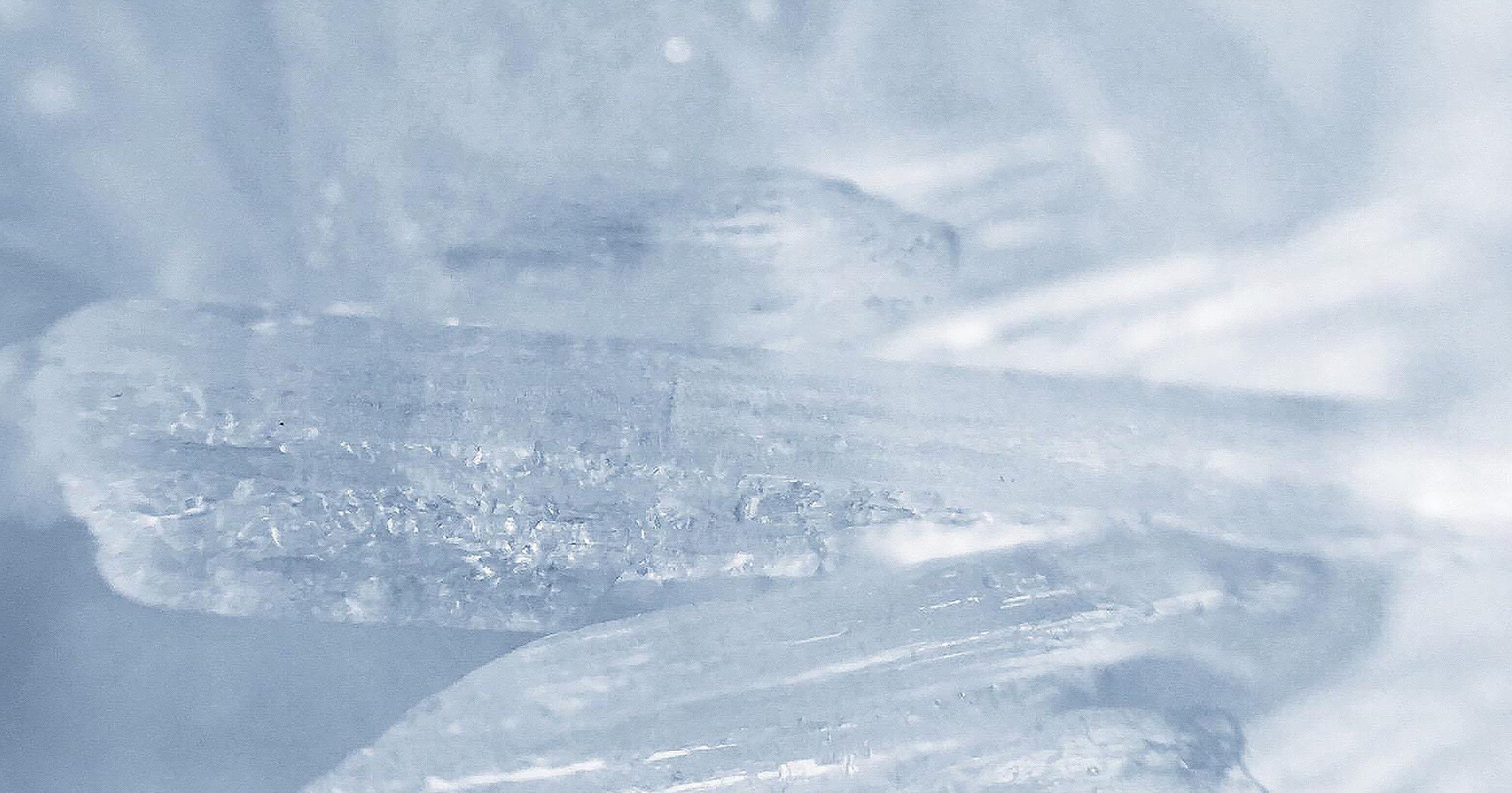 Crystal Meth Drama Class Homework Assignment