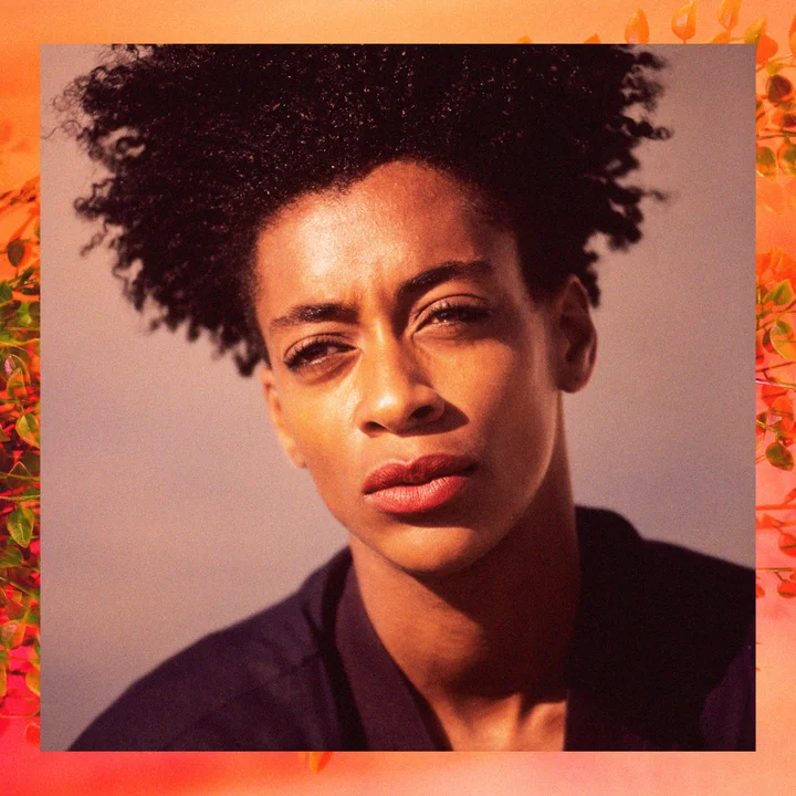 Zelda Harris Actress Now Spike Lee Made Crookyln, Black Actresses Gave