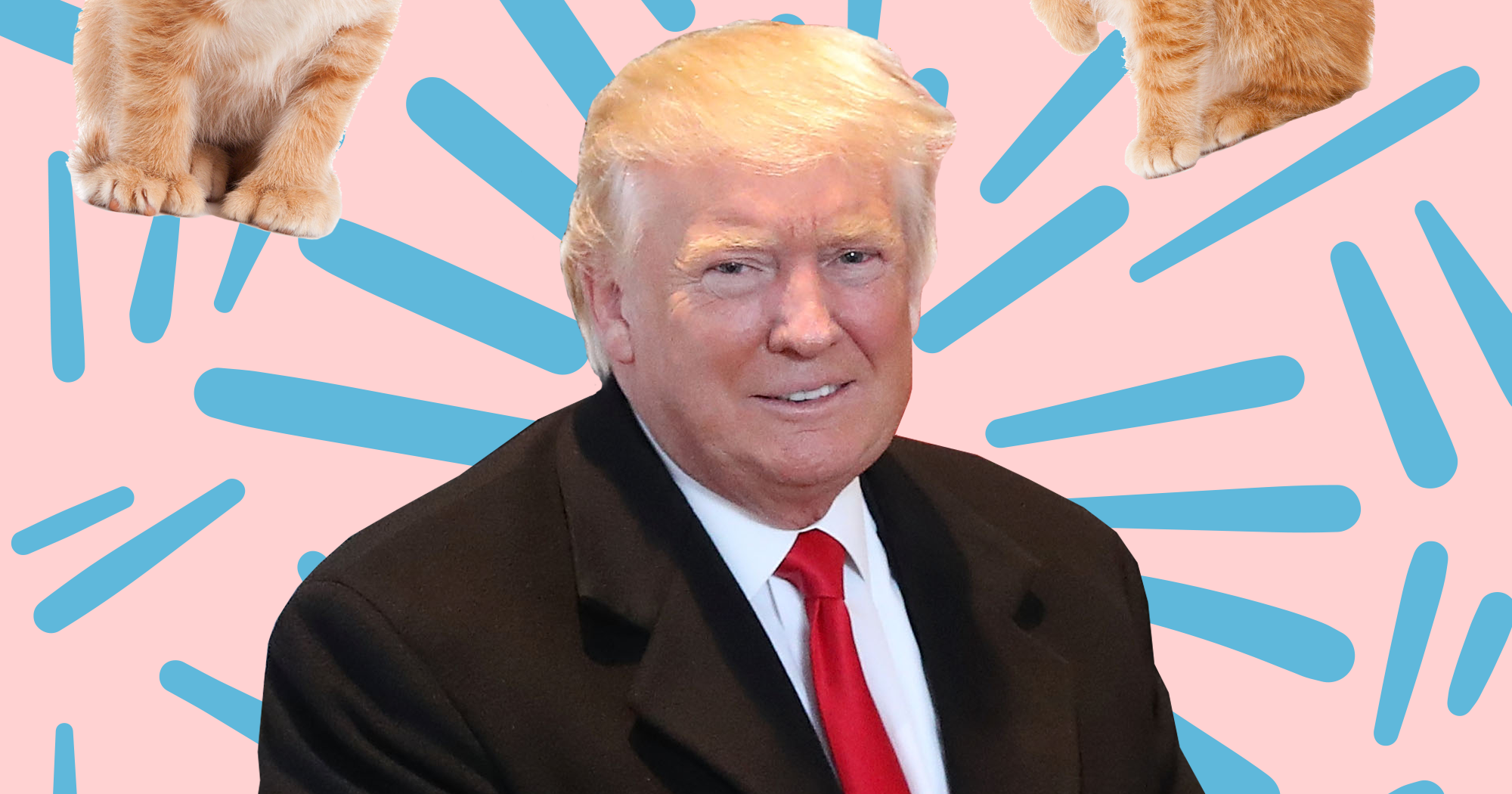 Donald Trump Make America Cats Again Chrome Extension