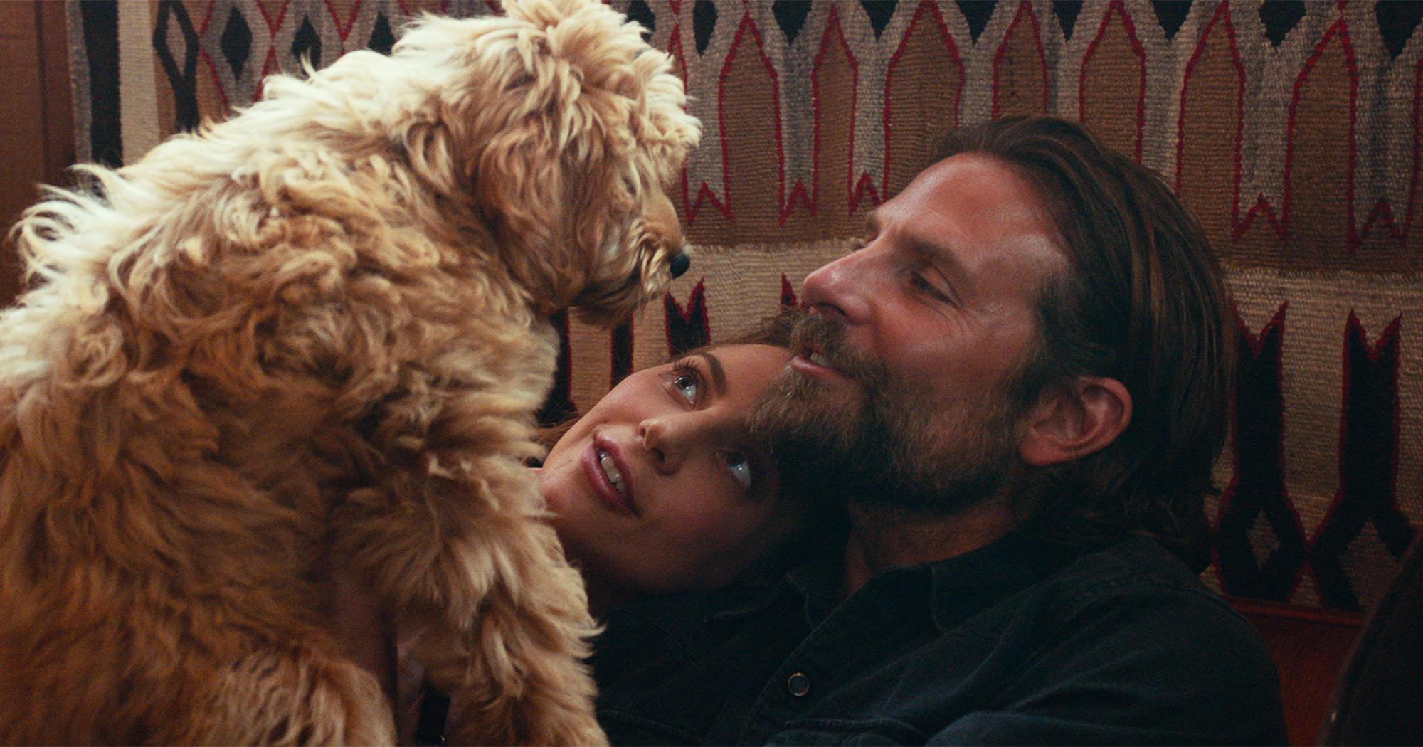 Bradley Coopers Dog Won Him An Award For Star Is Born