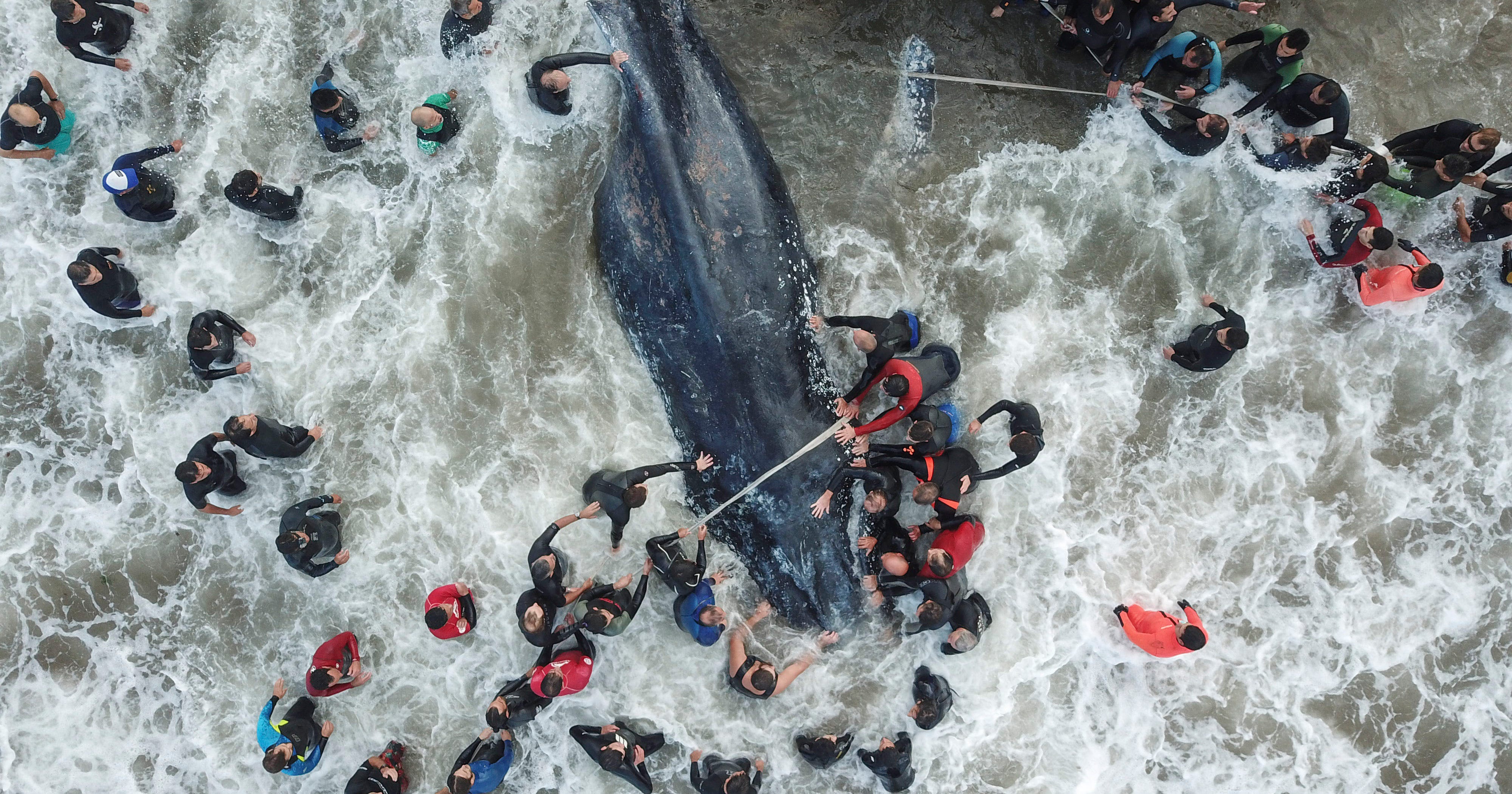 7 Photos Trending This Week