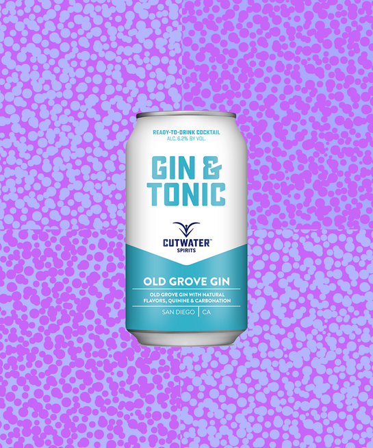 Best Canned Drinks Cocktails Portable Alcohol Drinks