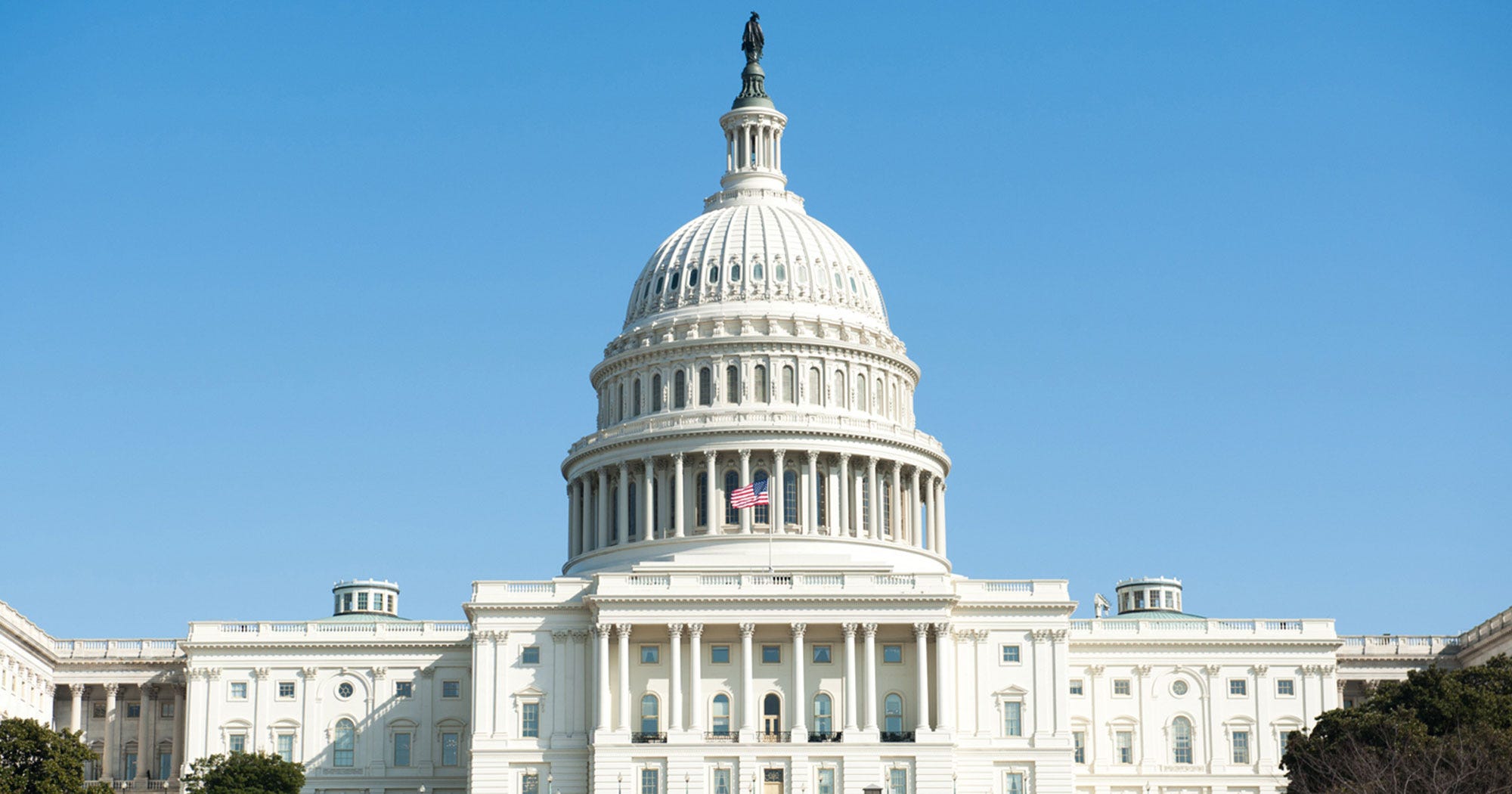 Virtual Women's March, Accessible Activism Disabilities