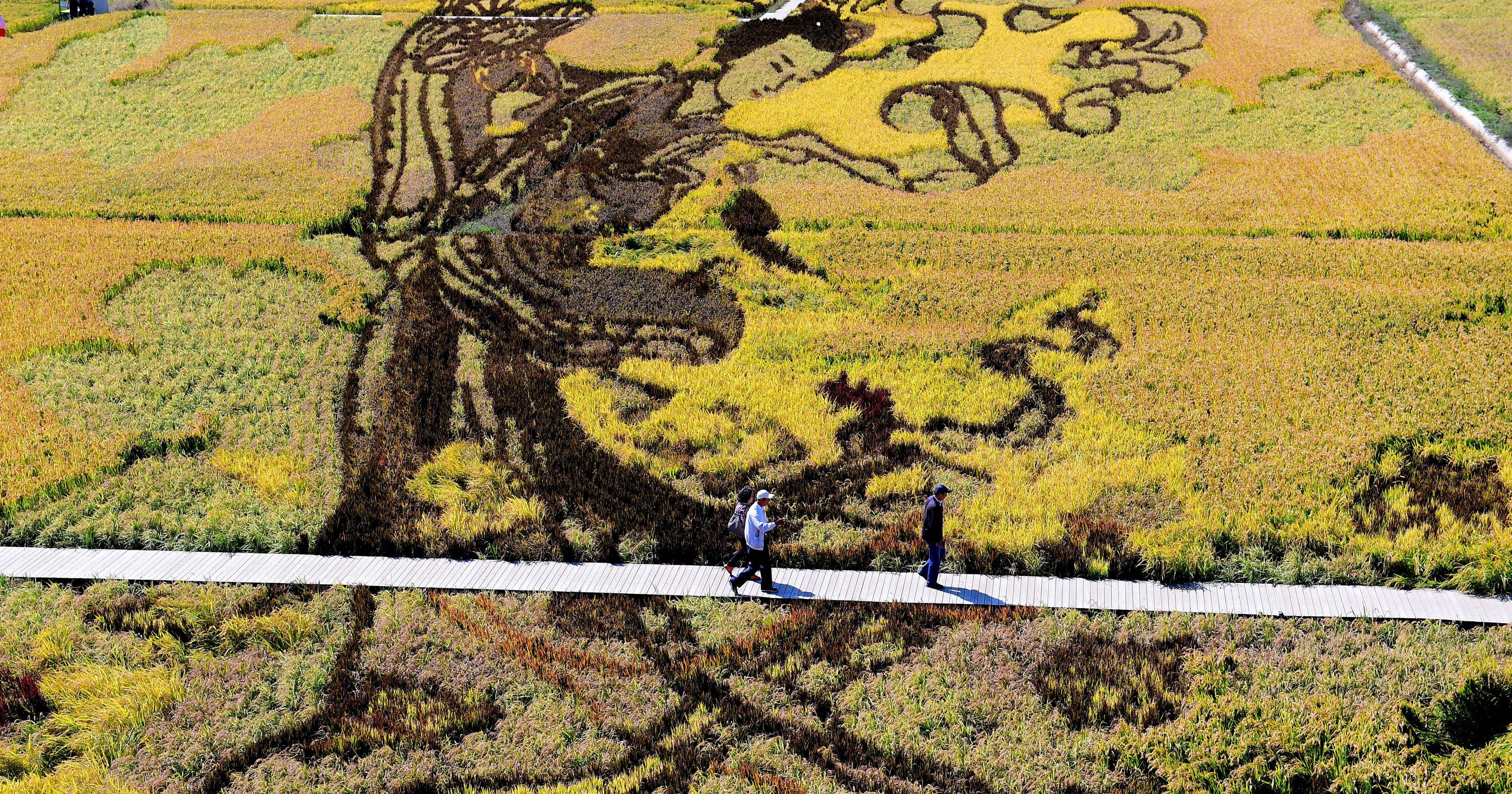 The Best Photos Trending This Week