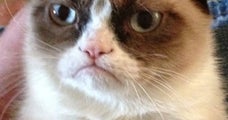 Best Memes 2012 - Favorite Meme Of The Year