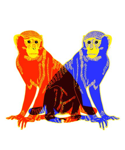 Fire monkey chinese zodiac personality 60 photos - Youhoroscope.com