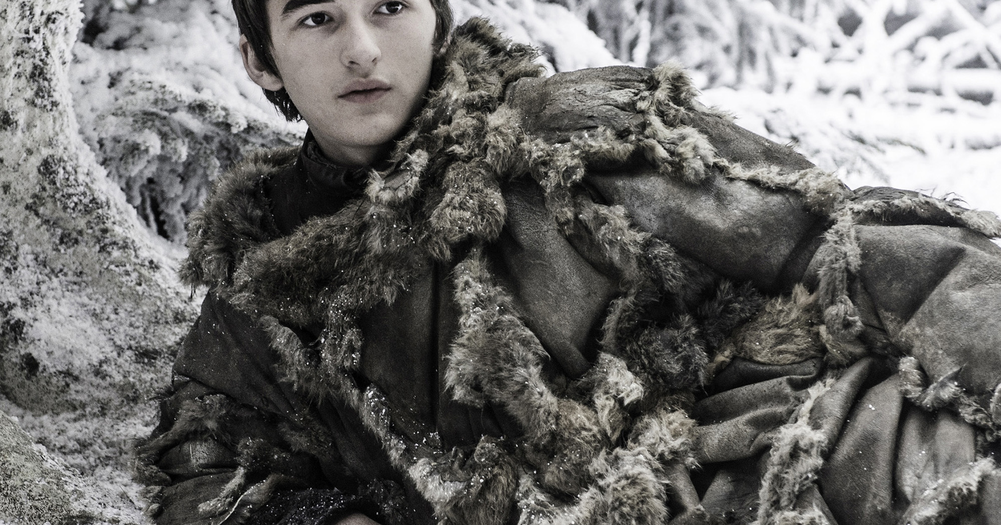 Game Of Thrones Stark Family Reunion Theory, Bran Actor