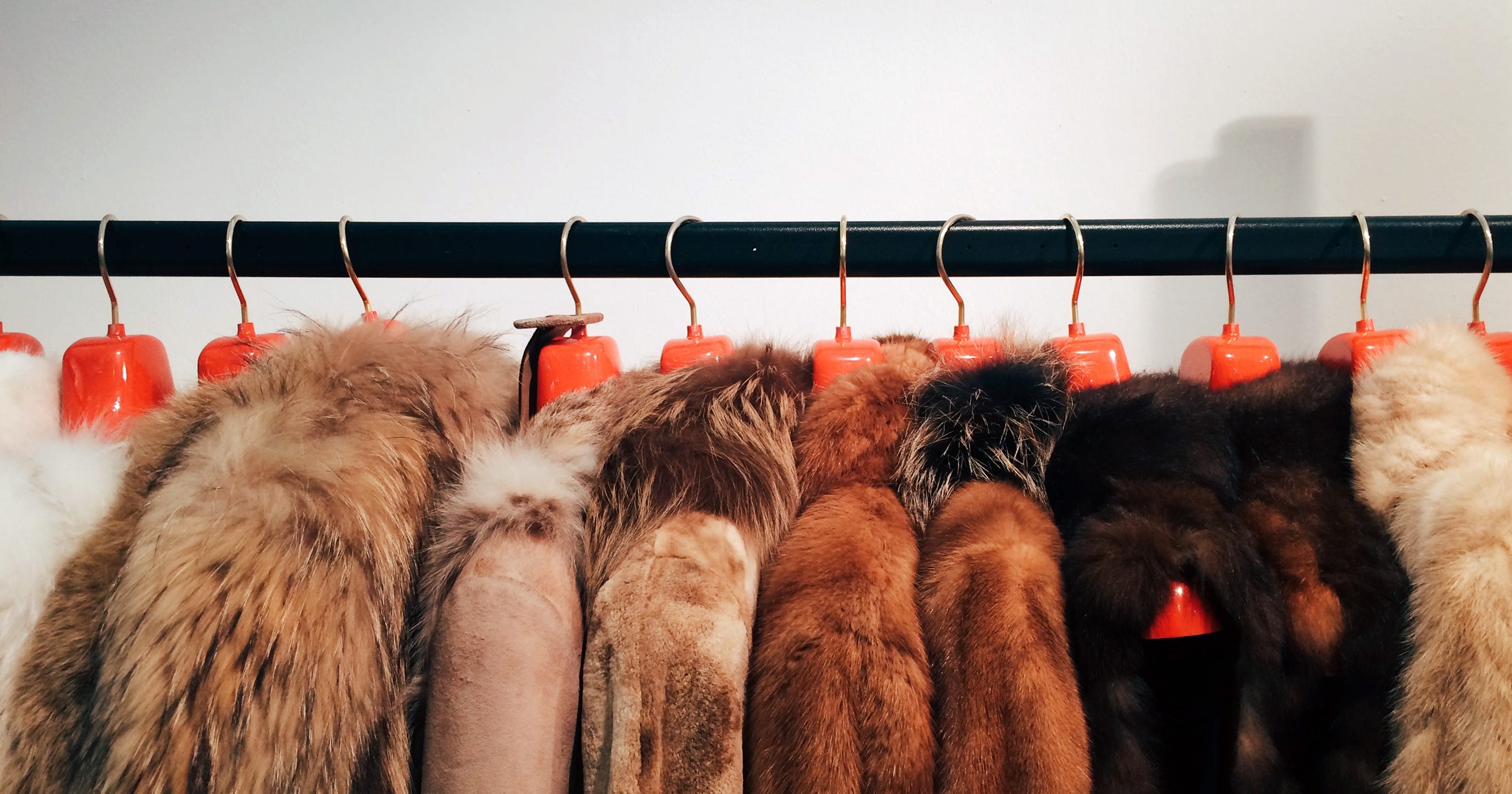 Norway Announces Fur Farming Ban