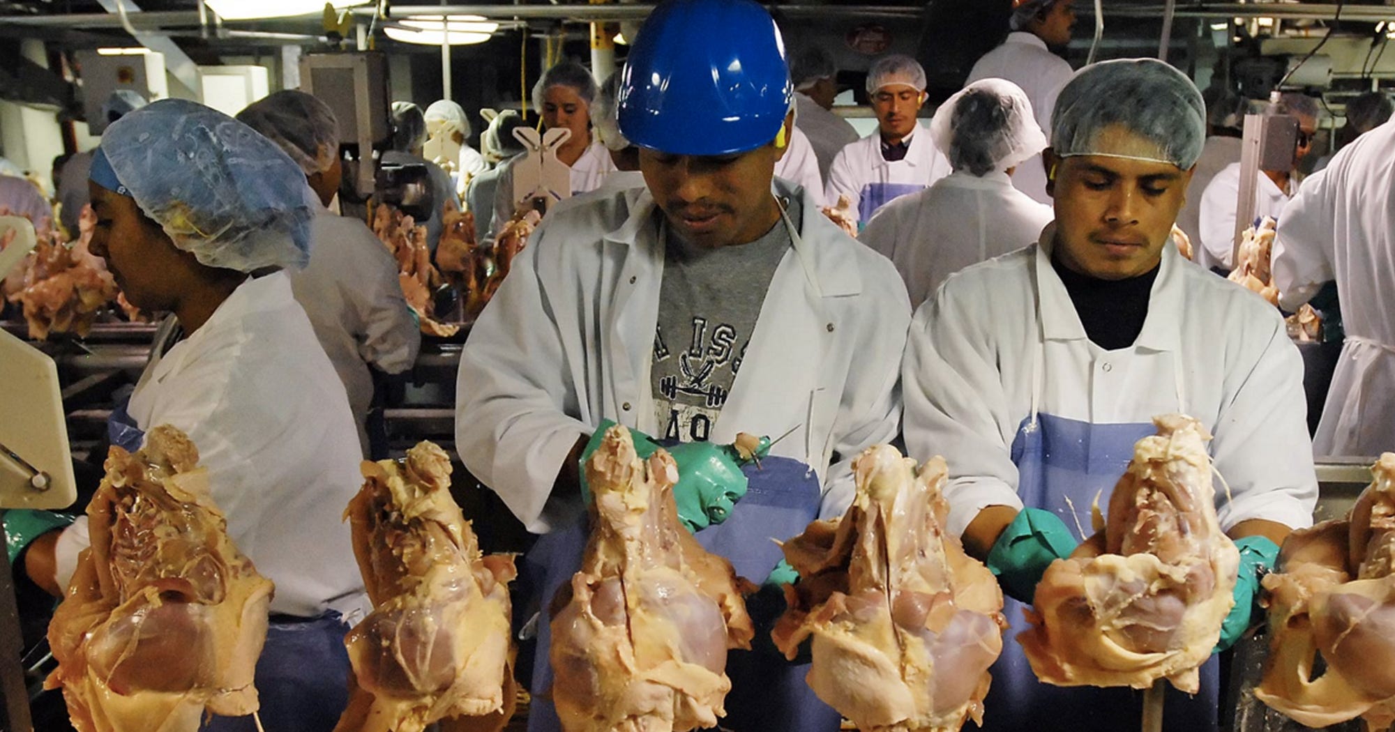 Poultry Workers Face Inhumane Conditions