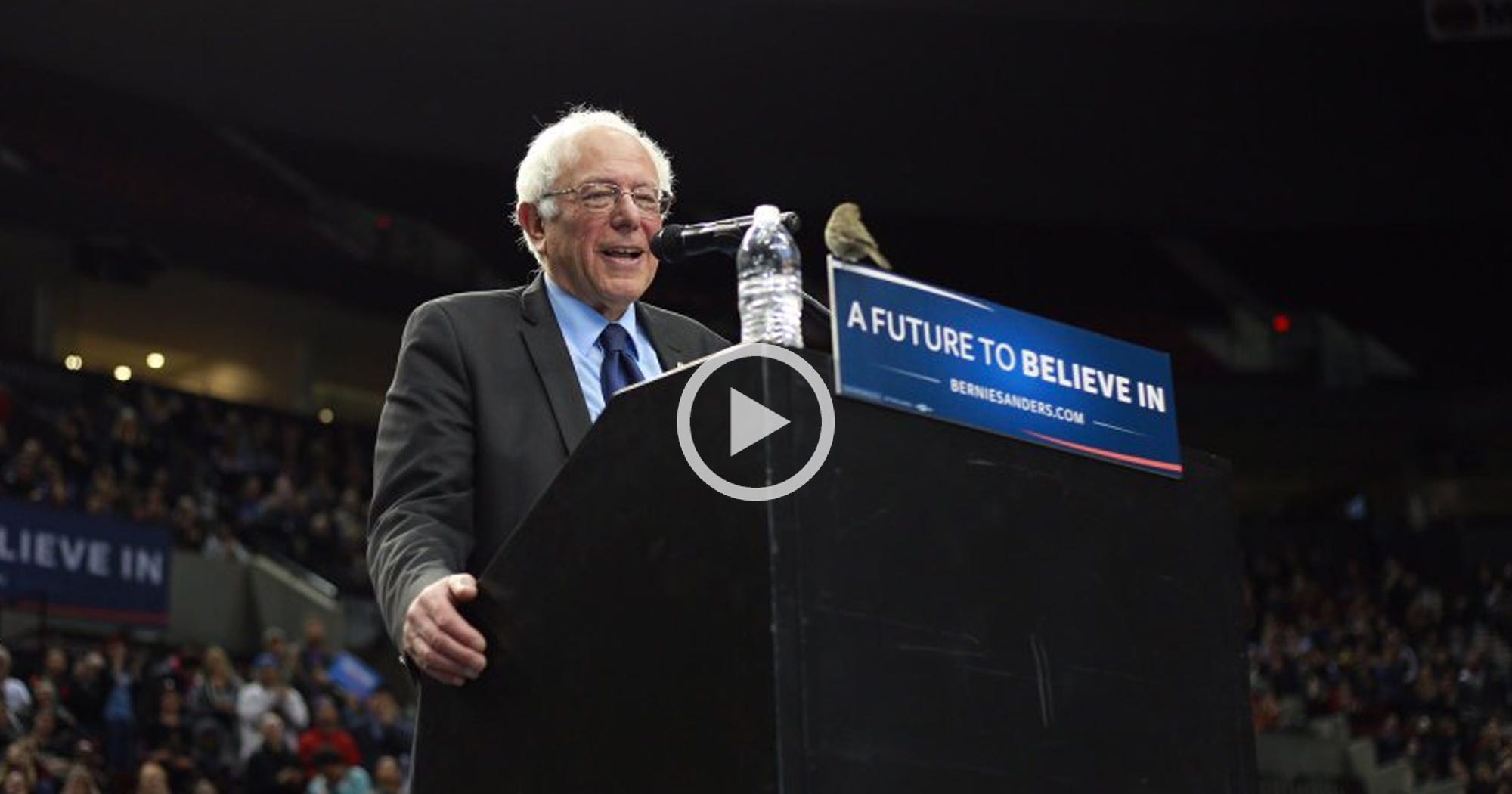 Bernie Sanders Bird Portland Rally Podium
