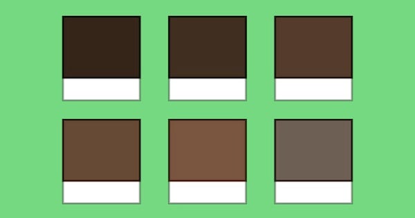 Poop Gut Bacteria Digestion Facts, Advice