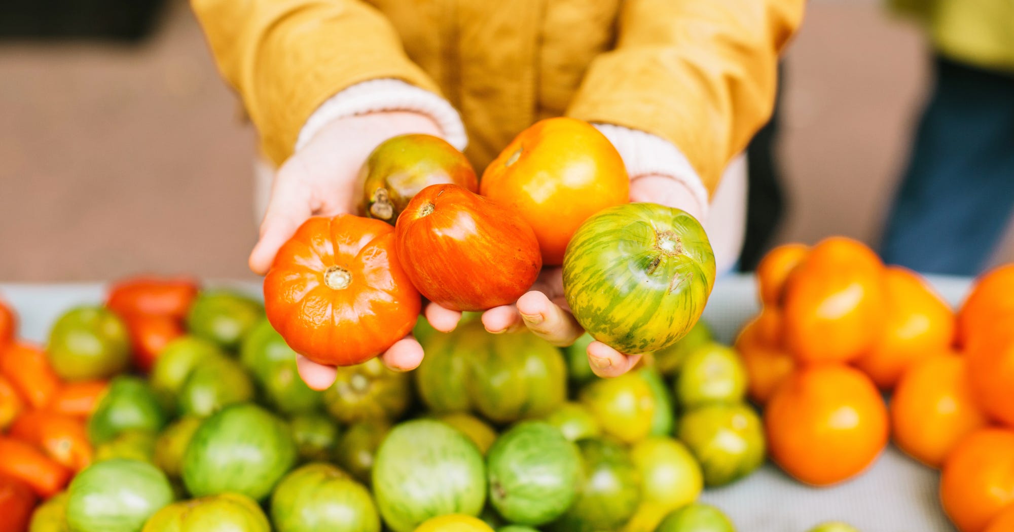 FDA Clean Produce Rule Regulations