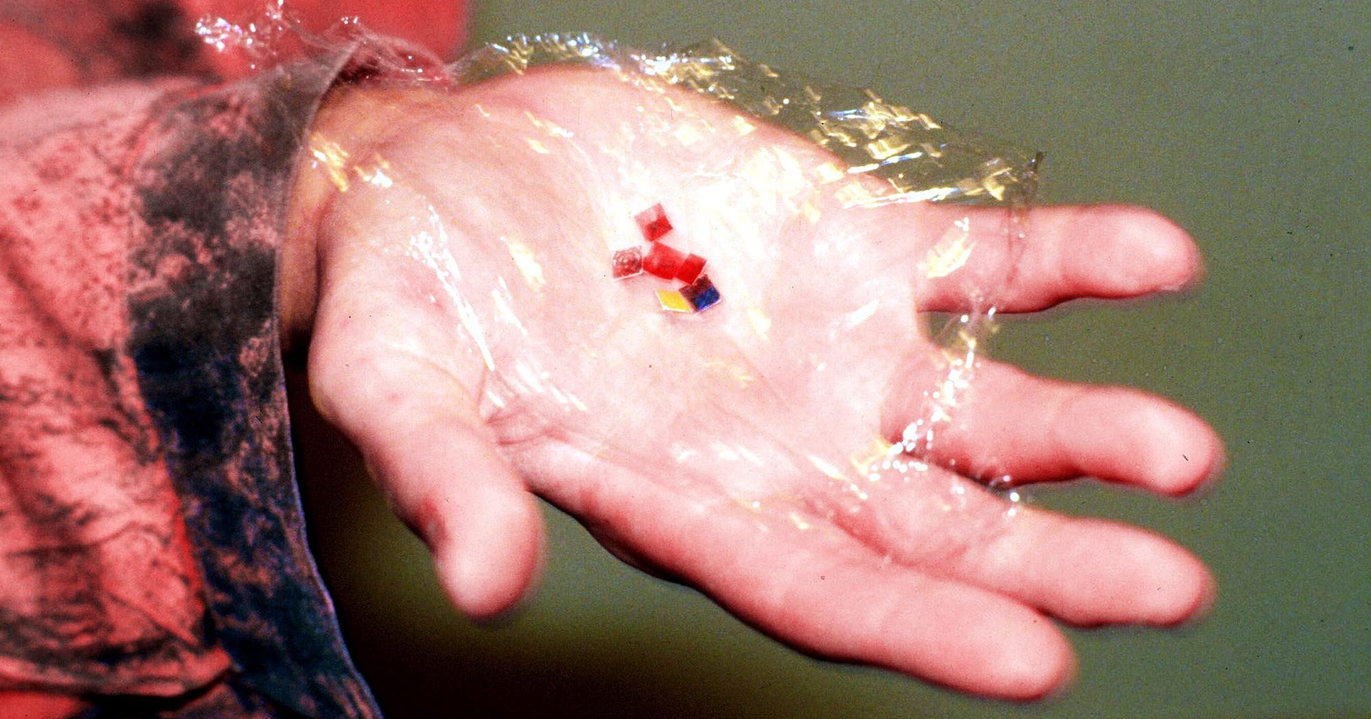 Psychedelic Drug Trip Sitting Safety Tips Zendo Project