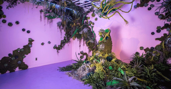 NYFW Flower Power Room