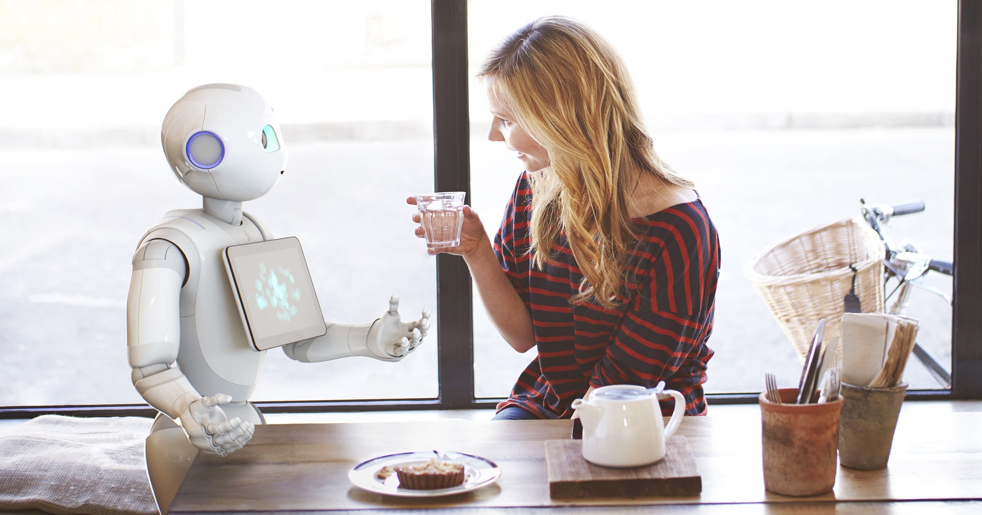 Robot Pain Empathy Study