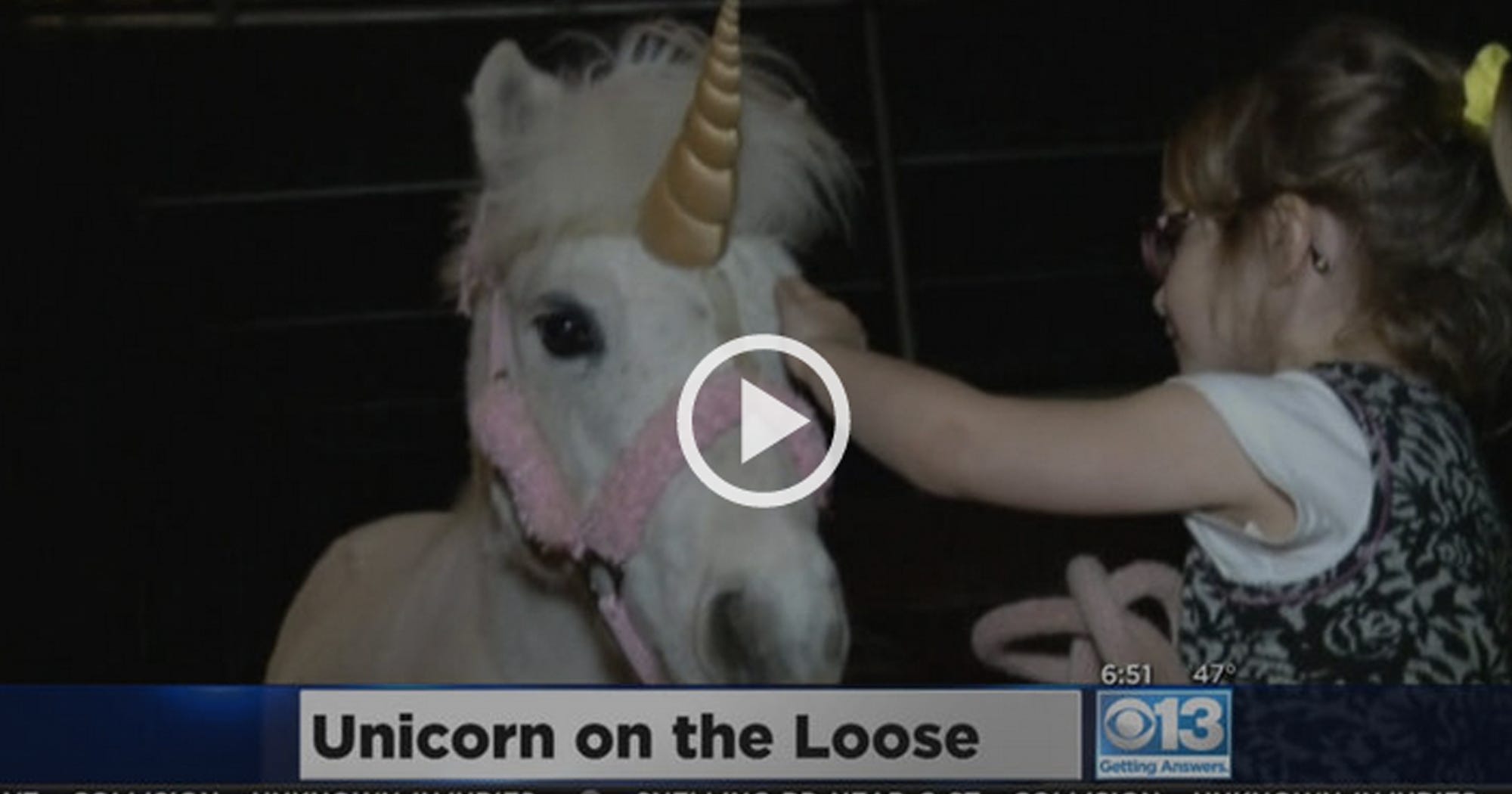 Escaped Unicorn Captured By Police