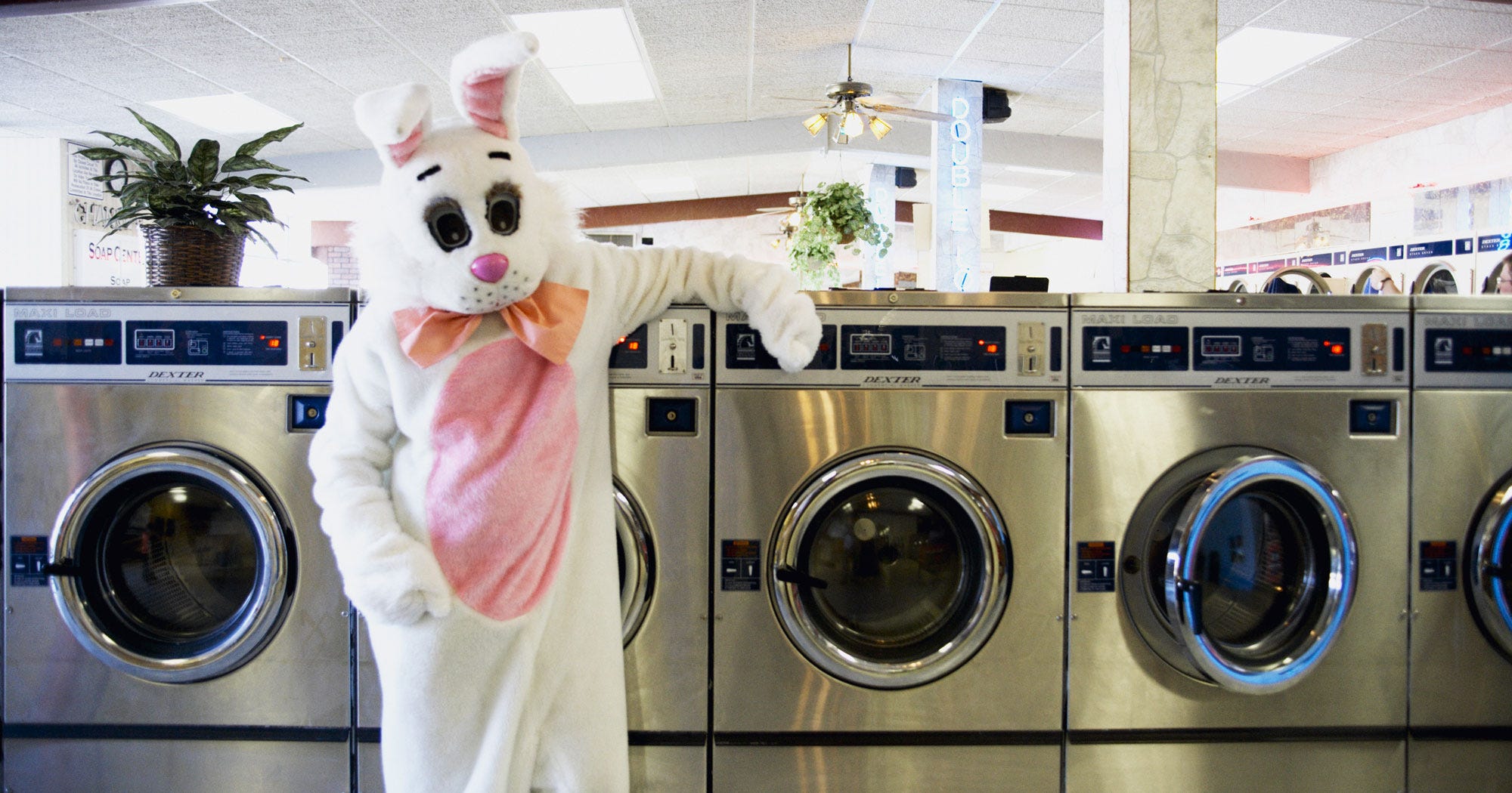 Easter Bunny Origin Eostre Fertility Symbolism