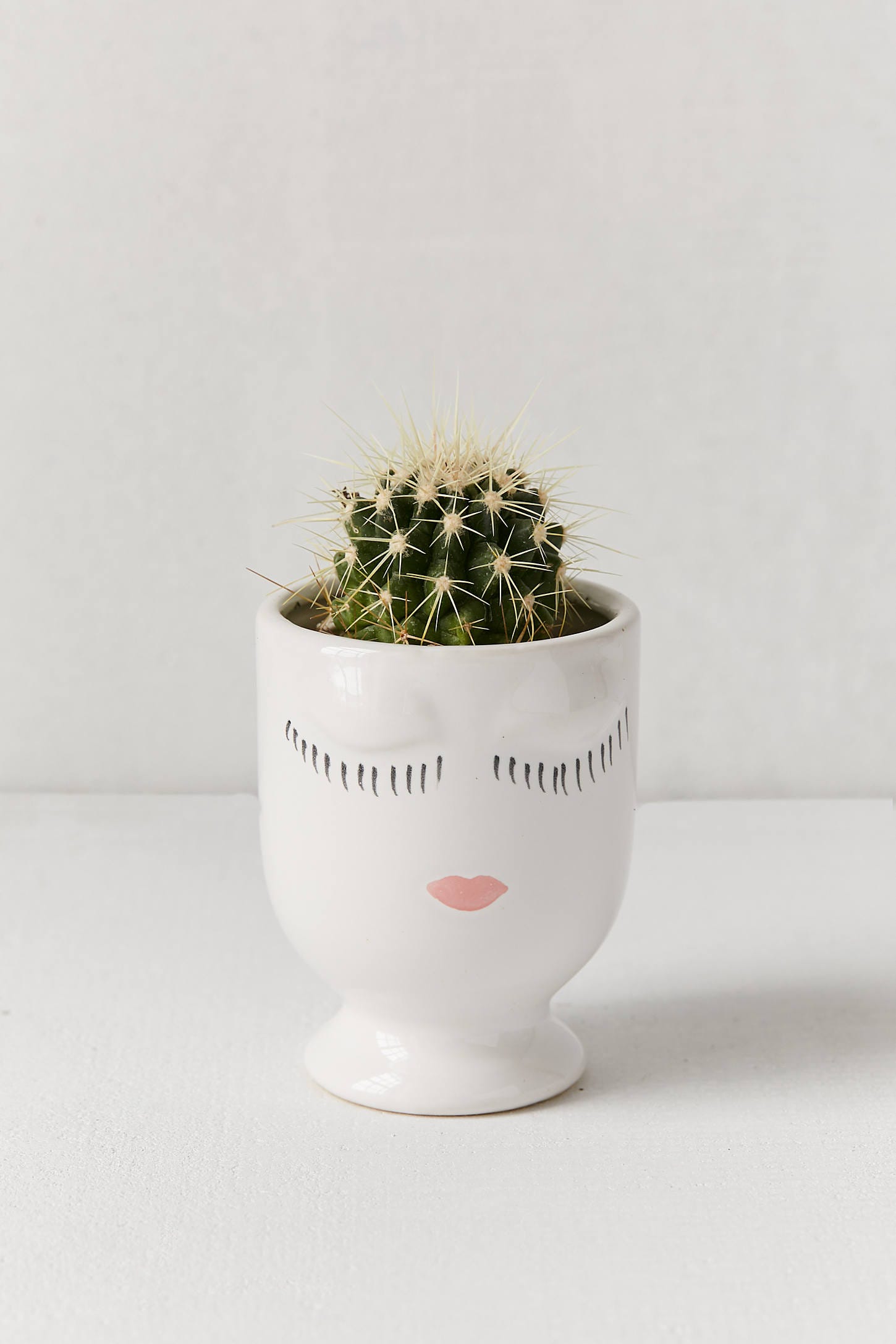 Urban Outfitters + Celfie Planter