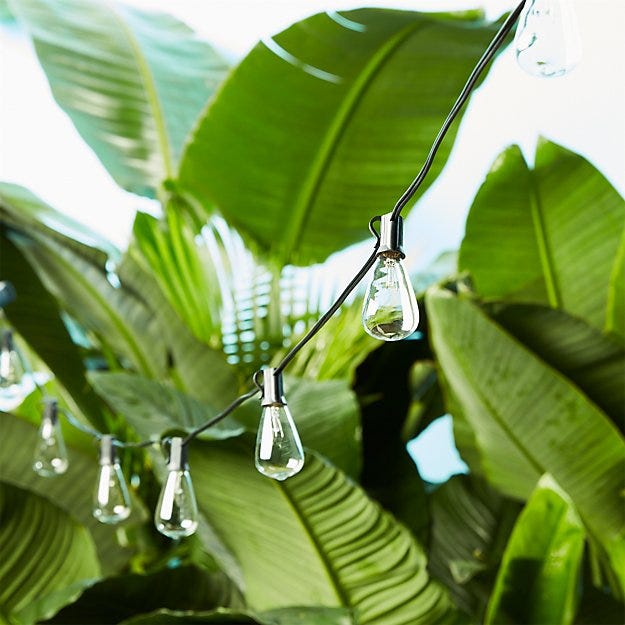 CB2 + Edison String Lights